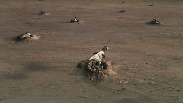 FootageBank | Dissolve