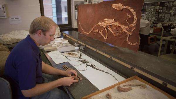 FootageBank | Dissolve