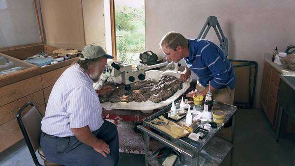 FootageBank | Dissolve