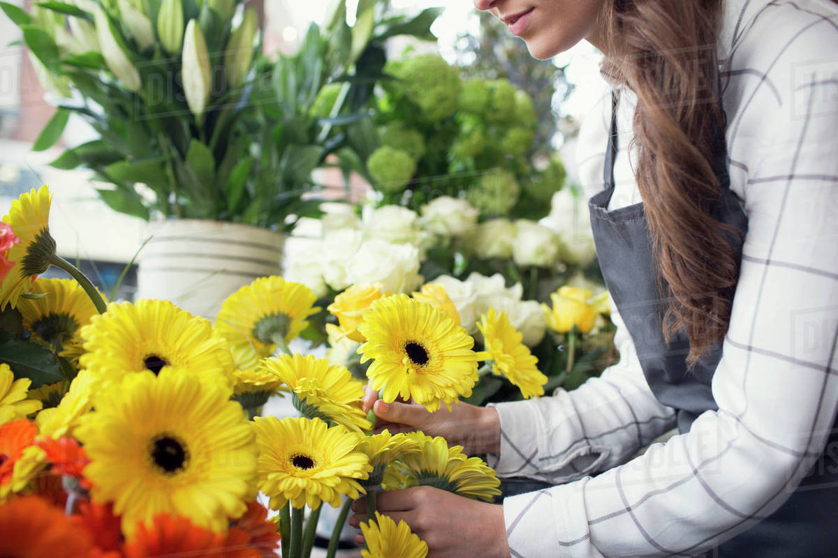 Female florist at work in shop - Stock Photo - Dissolve