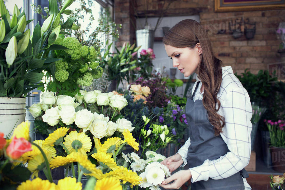 Female florist at work in shop - Stock Photo - Dissolve