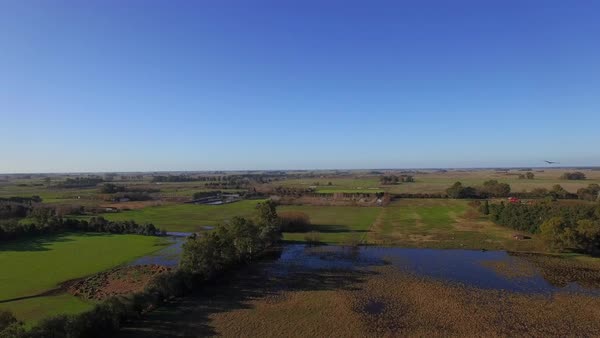 Bird flying over open countryside - 4K Royalty-free Stock Video Footage ...