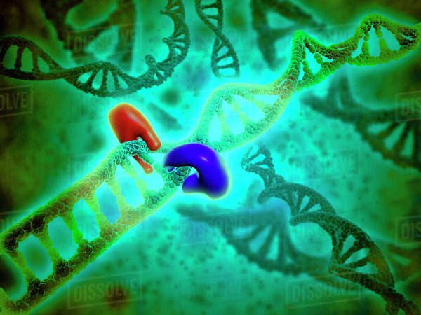 Microscopic view of DNA binding. - Stock Photo - Dissolve