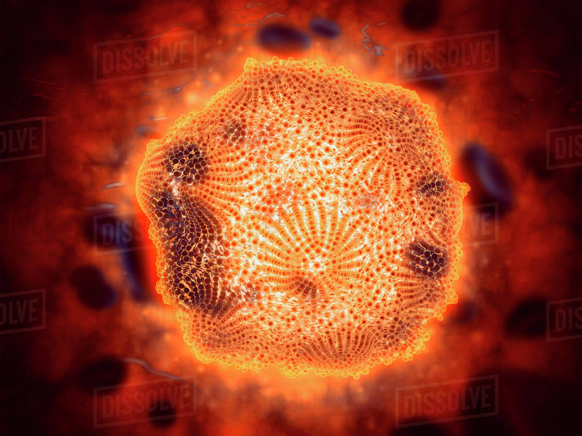 Microscopic view of Canine Parvovirus. - Royalty-free Stock Photo ...