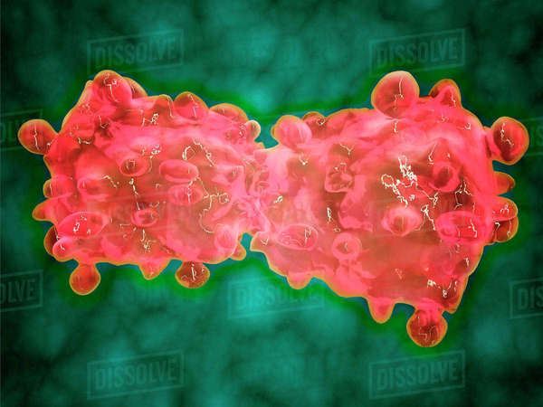 Microscopic view of a leukemia cell. - Royalty-free Stock Photo | Dissolve