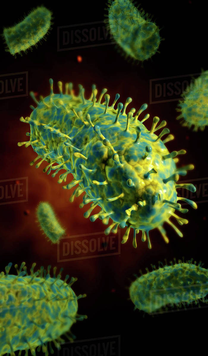 Conceptual image of rabies virus. - Stock Photo - Dissolve