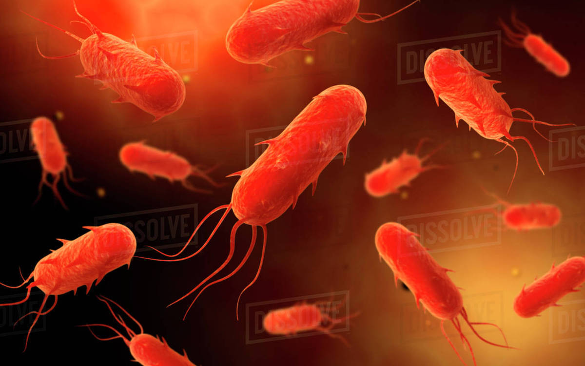 Conceptual image of flagellate bacterium. - Royalty-free Stock Photo ...