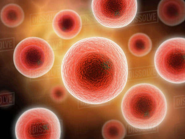 Microscopic view of cell. - Royalty-free Stock Photo | Dissolve