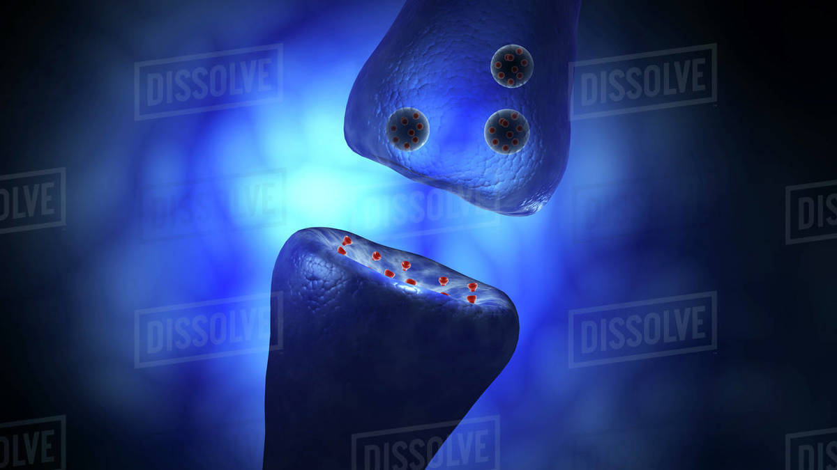 Conceptual image of synaptic vesicles. - Royalty-free Stock Photo ...