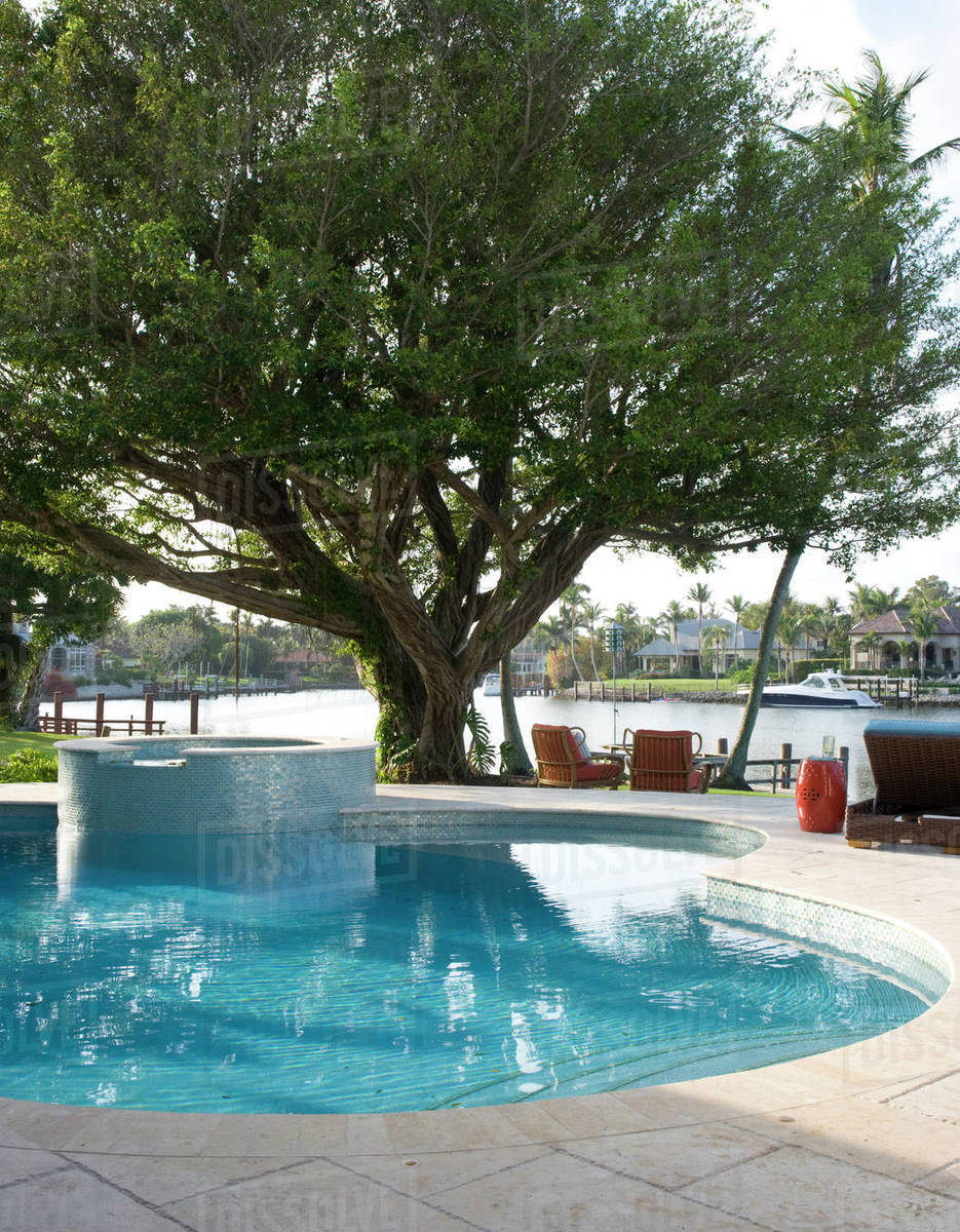 Swimming pool with tree and view to river - Royalty-free Stock Photo ...