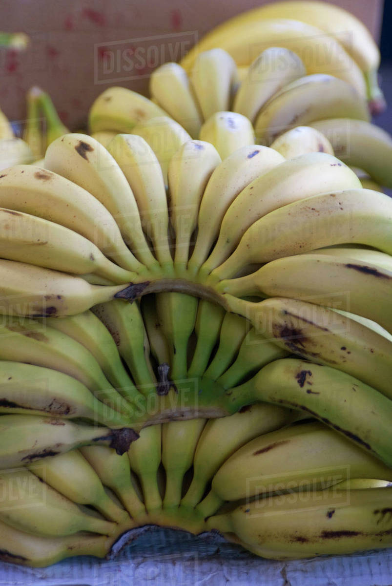 Stacked bananas - Royalty-free Stock Photo | Dissolve
