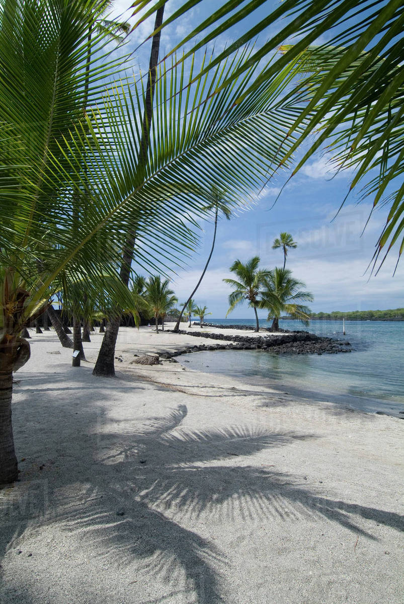 A shaded Hawaiian beach - Royalty-free Stock Photo | Dissolve