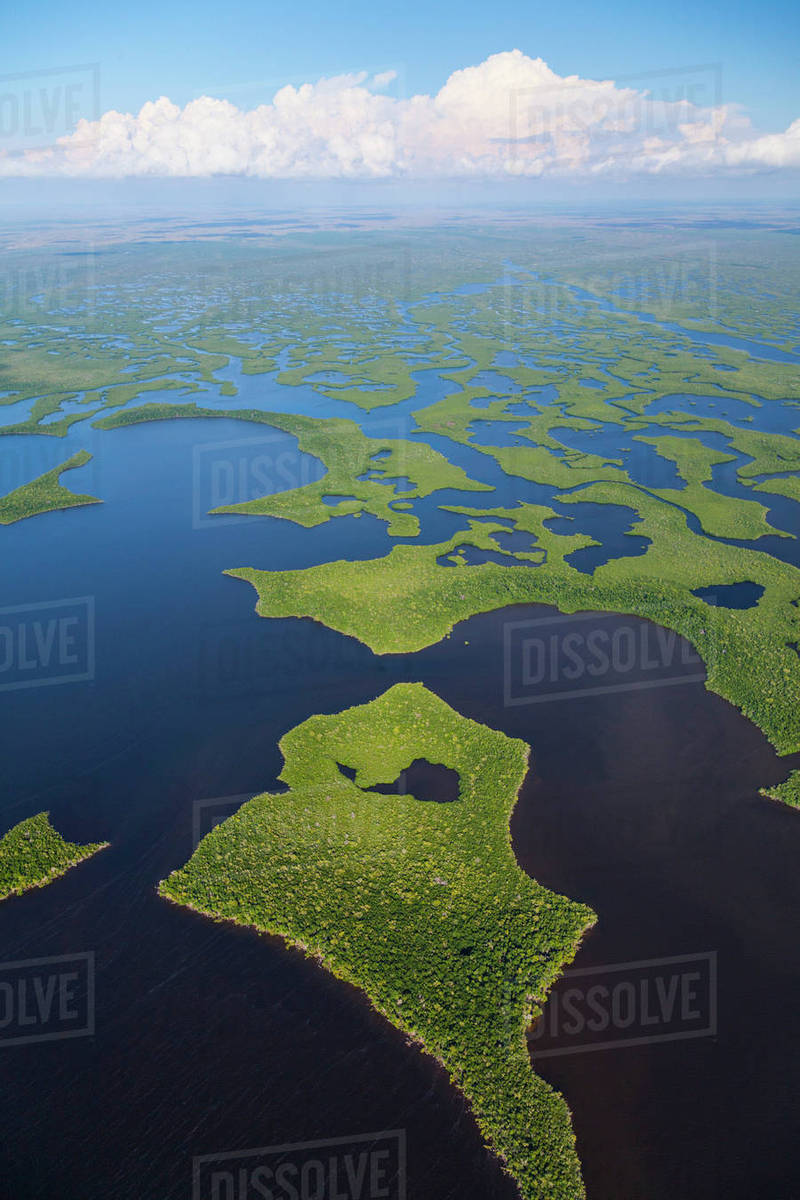 Aerial view of Everglades National Park, Florida, USA, February 2012 ...