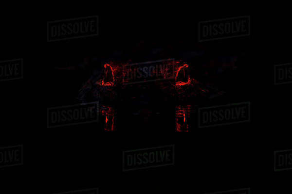 American alligator (Alligator mississippiensis) eyes shining at night ...