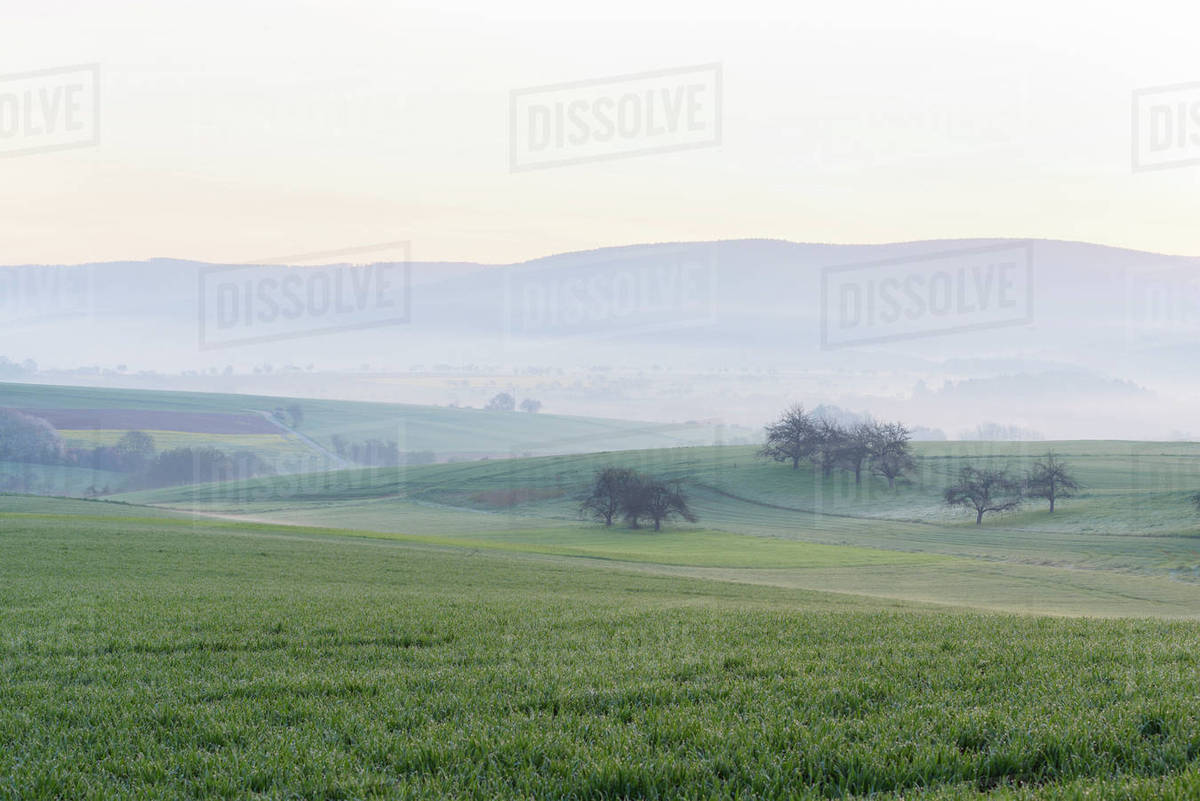 Countryside on Misty Morning at Dawn, Monchberg, Spessart, Bavaria ...