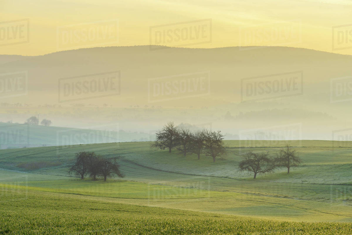 Countryside on Misty Morning, Monchberg, Spessart, Bavaria, Germany ...