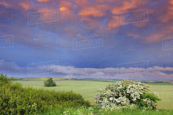 Ruegen, Ruegen District, Mecklenburg, Mecklenburg-Vorpommern, Germany ...