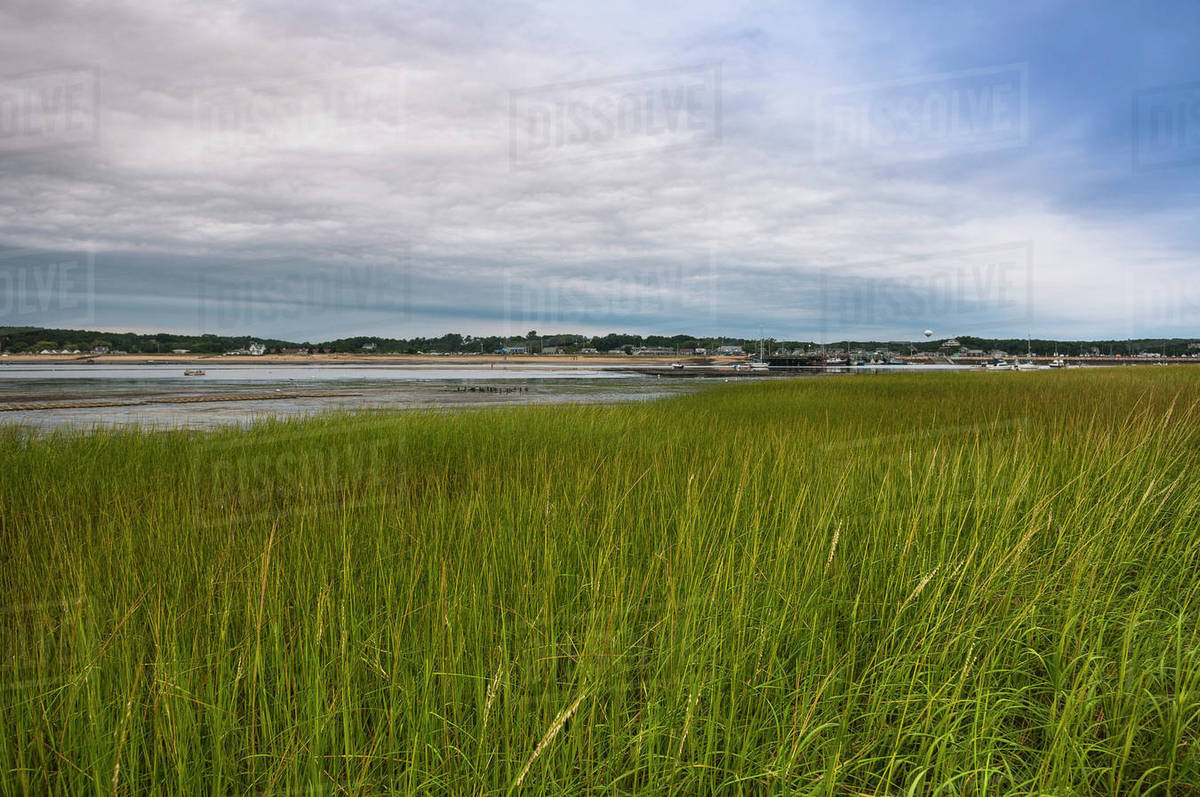 Wellfleet Town Pier, Cape Cod, Massachusetts, USA - Stock Photo - Dissolve