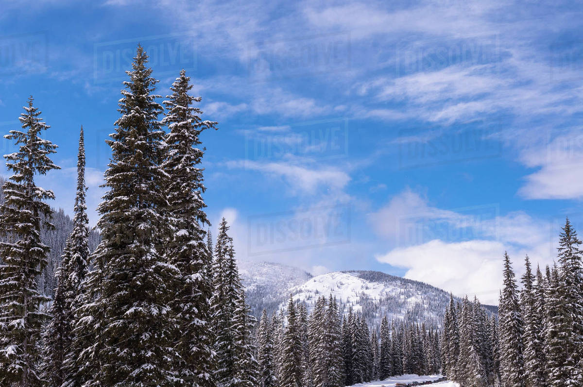 Whitewater Ski Resort, Nelson, Britsh Columbia, Canada - Royalty-free ...
