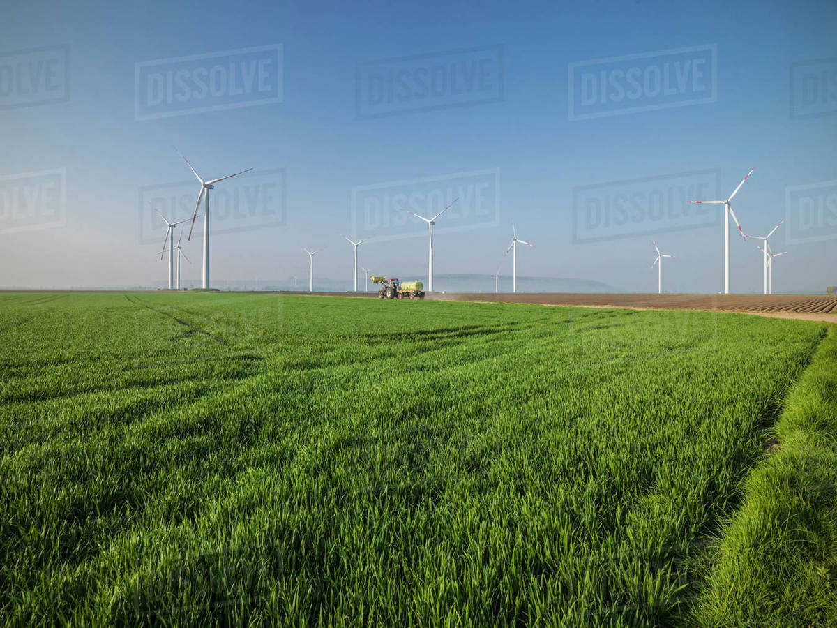 Group of wind turbines, Titz, Germany - Royalty-free Stock Photo | Dissolve
