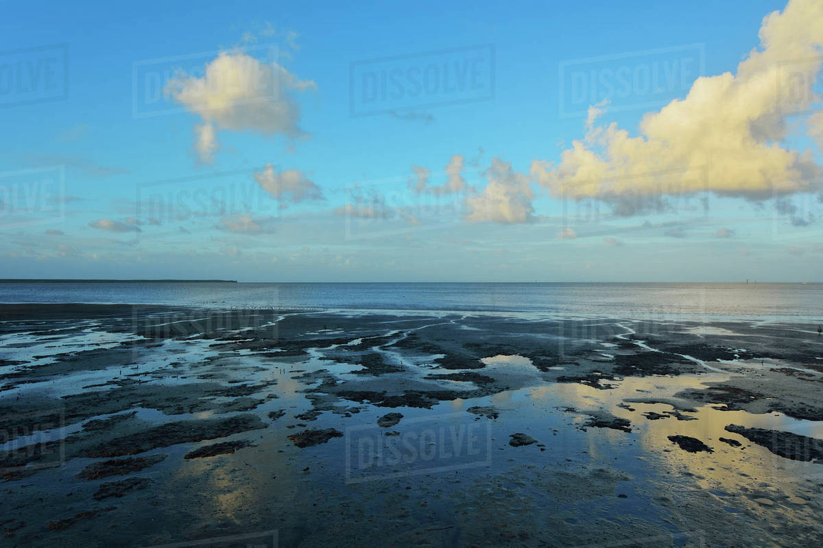 Mudflat on Coast, Cairns, Queensland, Australia - Royalty-free Stock ...