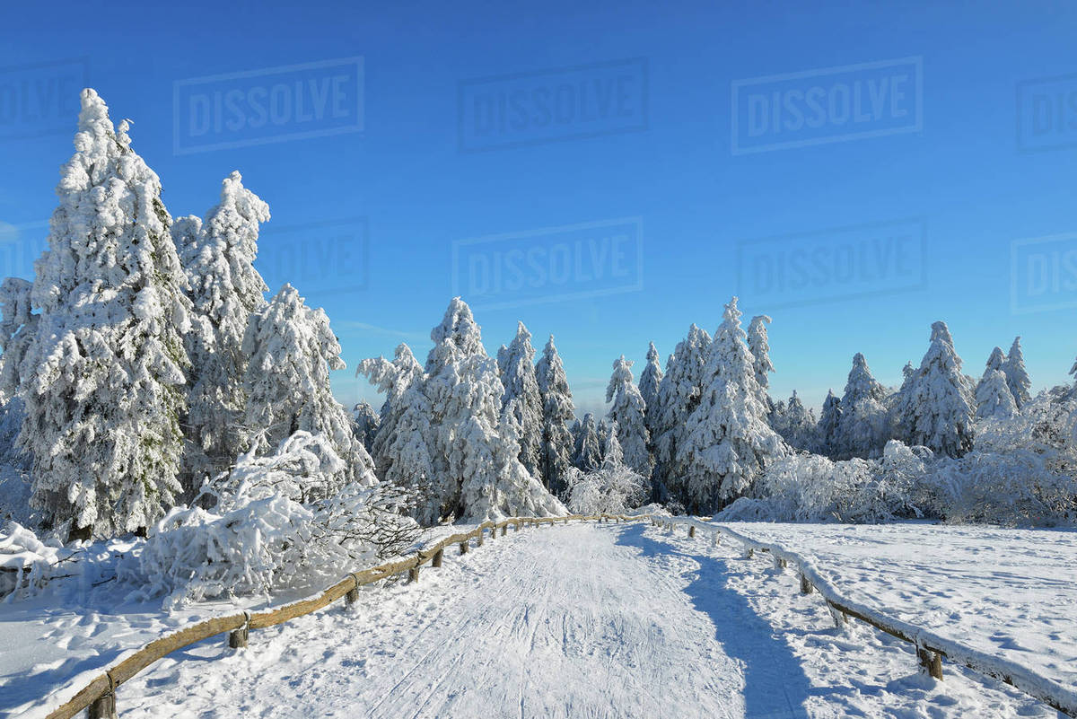 Snow Covered Winter Landscape with Path, Grosser Feldberg, Frankfurt ...