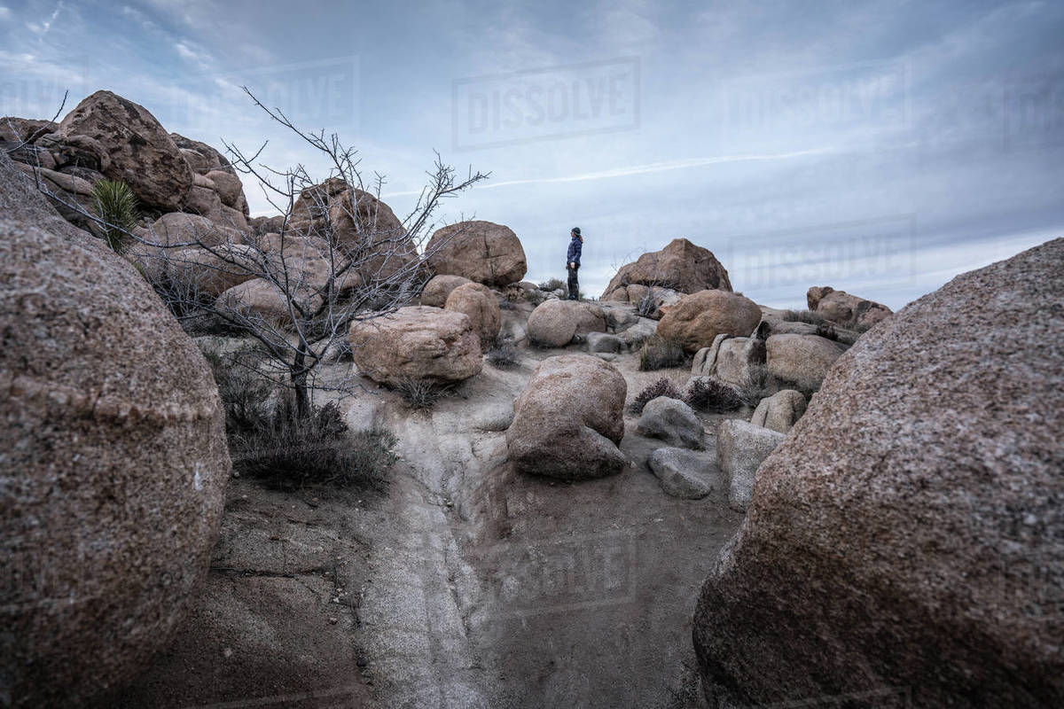 Side view of a woman looking at view while standing on rock - Stock ...