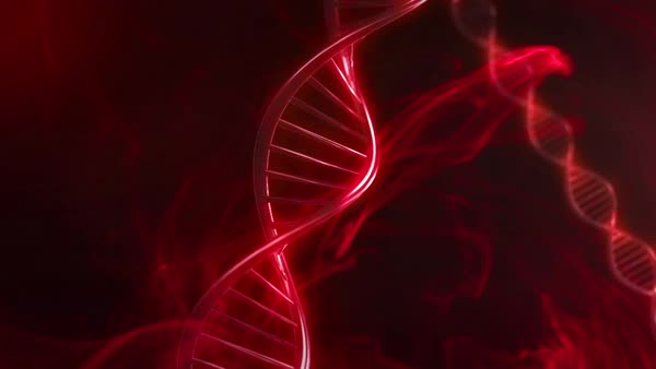 Red DNA Strand - 3D Animation - Stock Video Footage - Dissolve