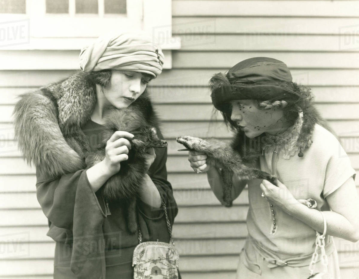 Fangs out - Stock Photo - Dissolve