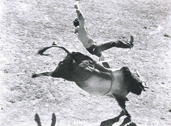 Bronco buster - Stock Photo - Dissolve