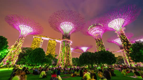 Timelapse People watch a light show of super trees in Gardens by the ...