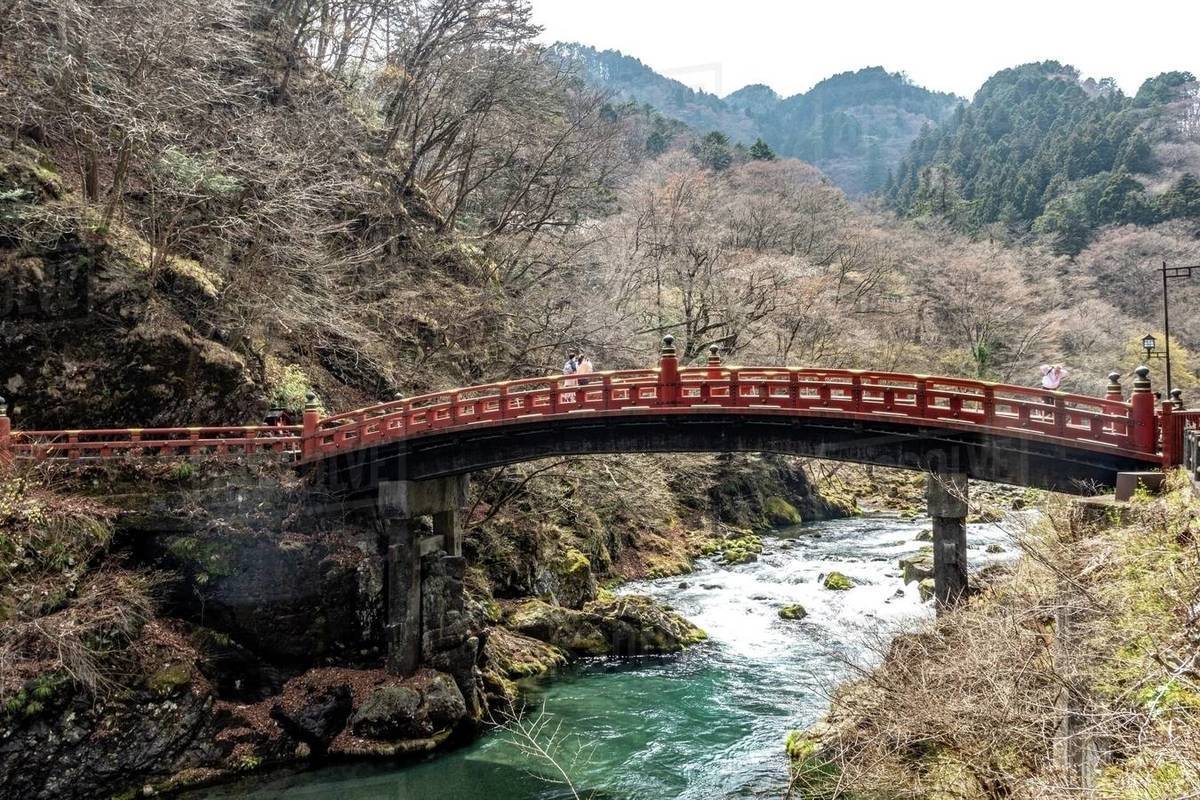 Shinkyo Bridge spans a river in a lush green forest. Nikko. Japan ...