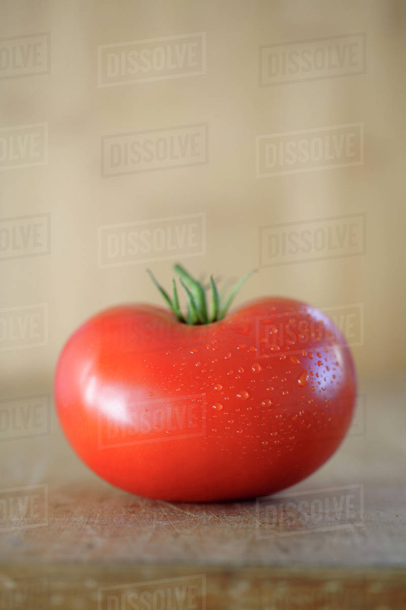 One red tomato - Stock Photo - Dissolve