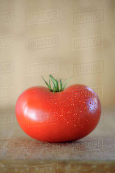 One red tomato - Stock Photo - Dissolve