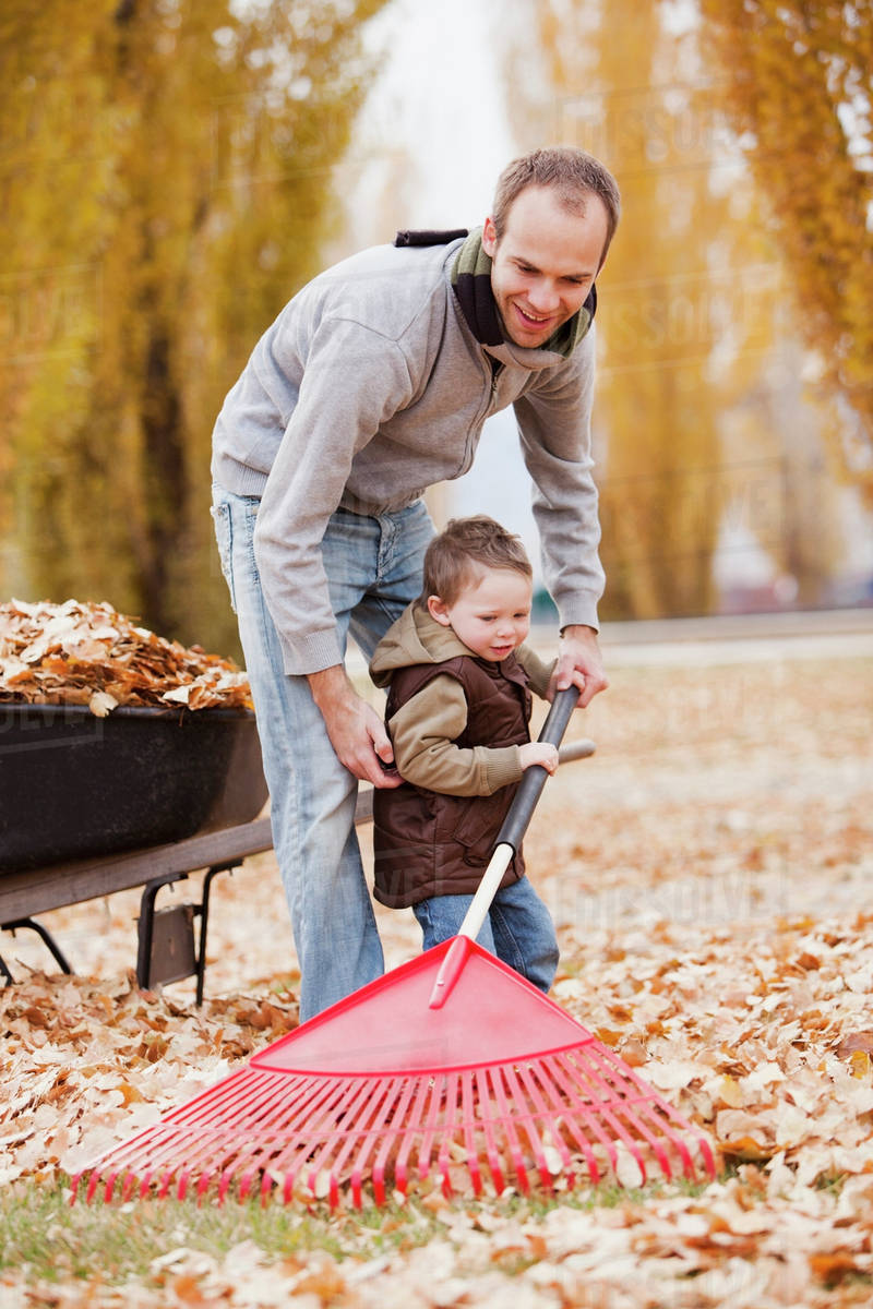 Caucasian father and son raking autumn leaves - Royalty-free Stock ...