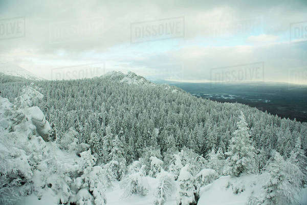 Aerial view of snowy forest in remote landscape - Royalty-free Stock ...