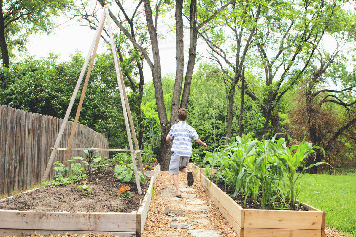 Caucasian boy running in backyard - Stock Photo - Dissolve