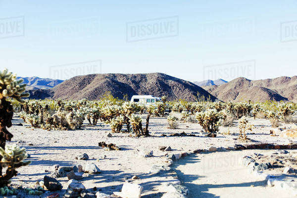 Path through field in desert landscape - Stock Photo - Dissolve