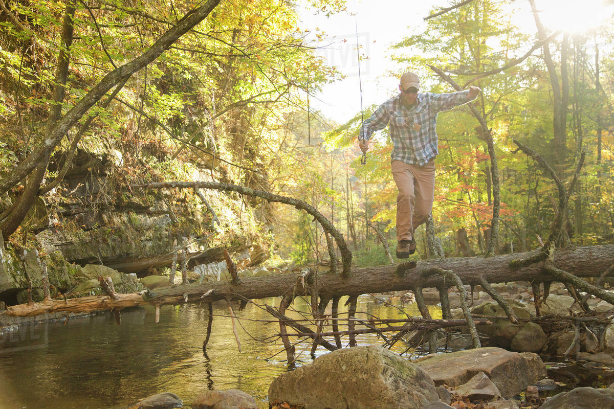 Caucasian man balancing on fallen tree over stream - Stock Photo - Dissolve