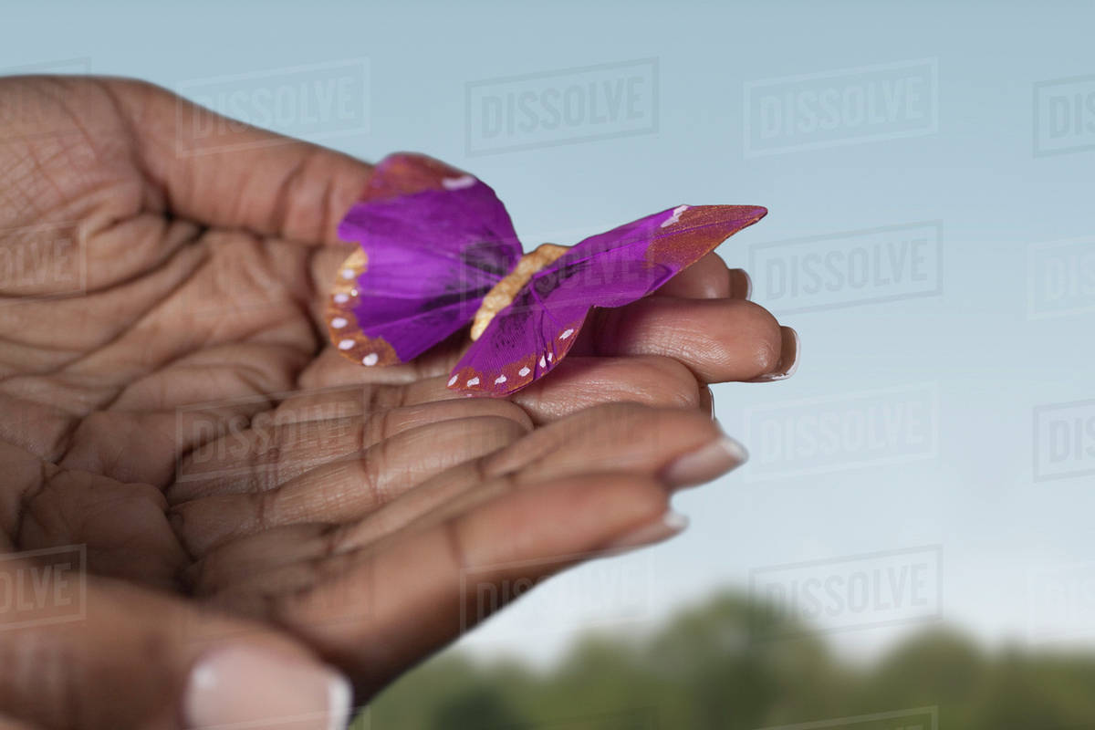 Black woman's hands holding purple butterfly - Stock Photo - Dissolve
