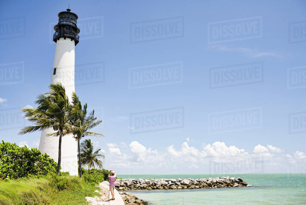 Lighthouse and tropical palm trees near ocean - Royalty-free Stock ...
