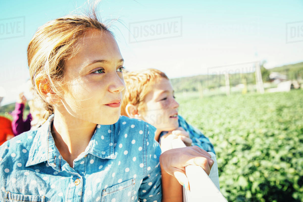 Close up of Caucasian brother and sister admiring farm - Stock Photo ...