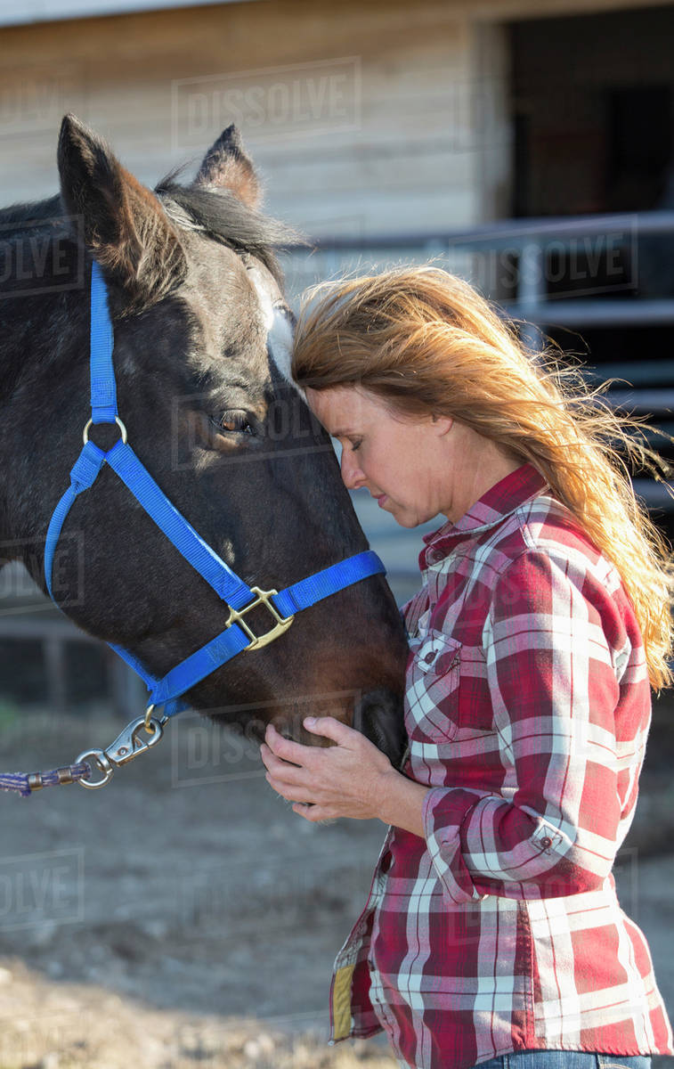 Caucasian woman hugging horse on ranch - Stock Photo - Dissolve