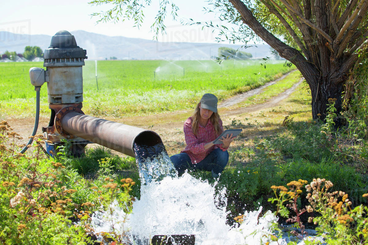 Caucasian farmer checking water pump - Stock Photo - Dissolve