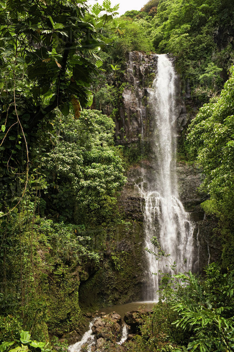 Remote waterfall in tropical rainforest - Royalty-free Stock Photo ...