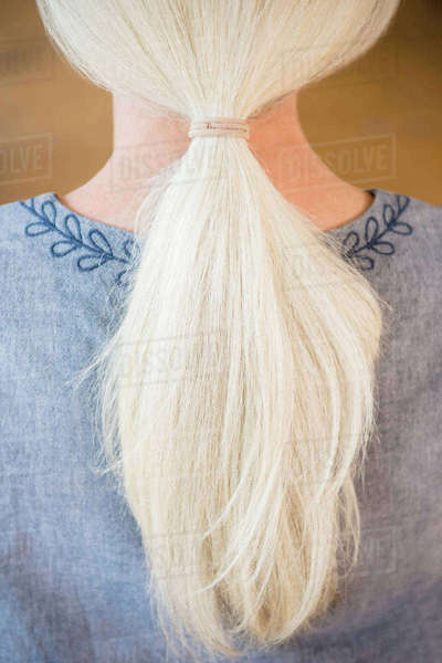 Rear view of ponytail of gray hair of Caucasian woman - Stock Photo ...