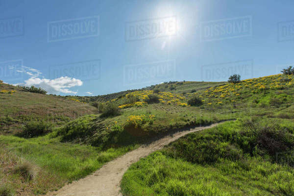 Dirt path in rolling landscape - Stock Photo - Dissolve