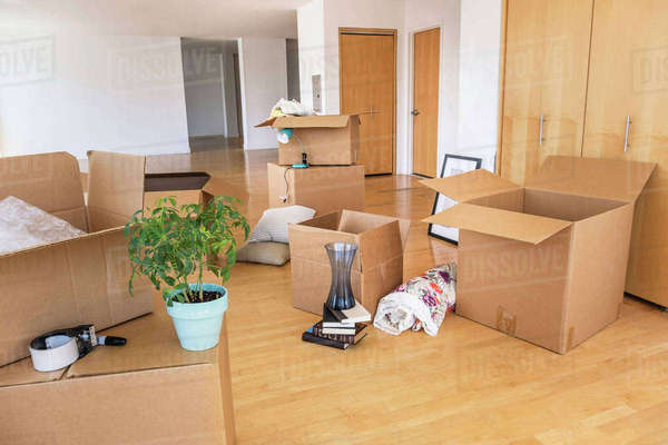 Cardboard boxes for moving in empty apartment - Royalty-free Stock ...