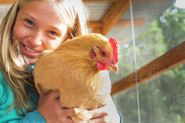 Caucasian girl hugging chicken in chicken coop - Royalty-free Stock ...