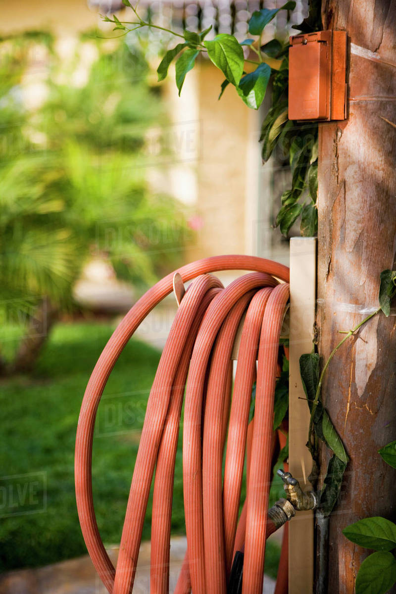 Coiled orange garden hose - Royalty-free Stock Photo | Dissolve